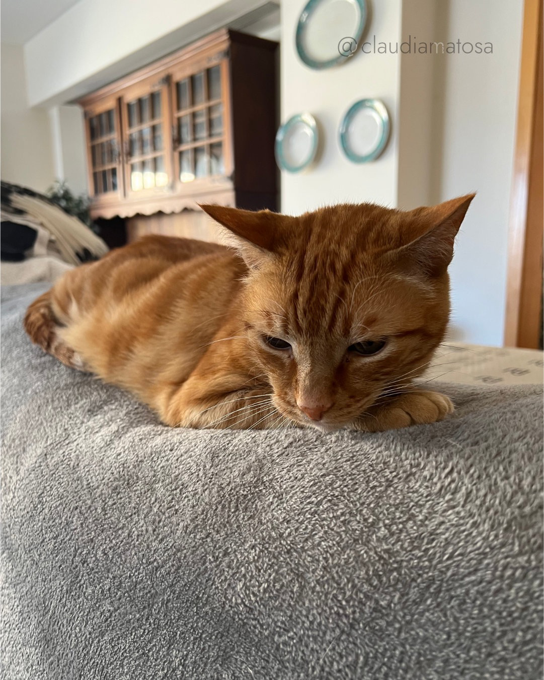 Claudia Matosa (@claudiamatosa@comics.town) - Comics.Town