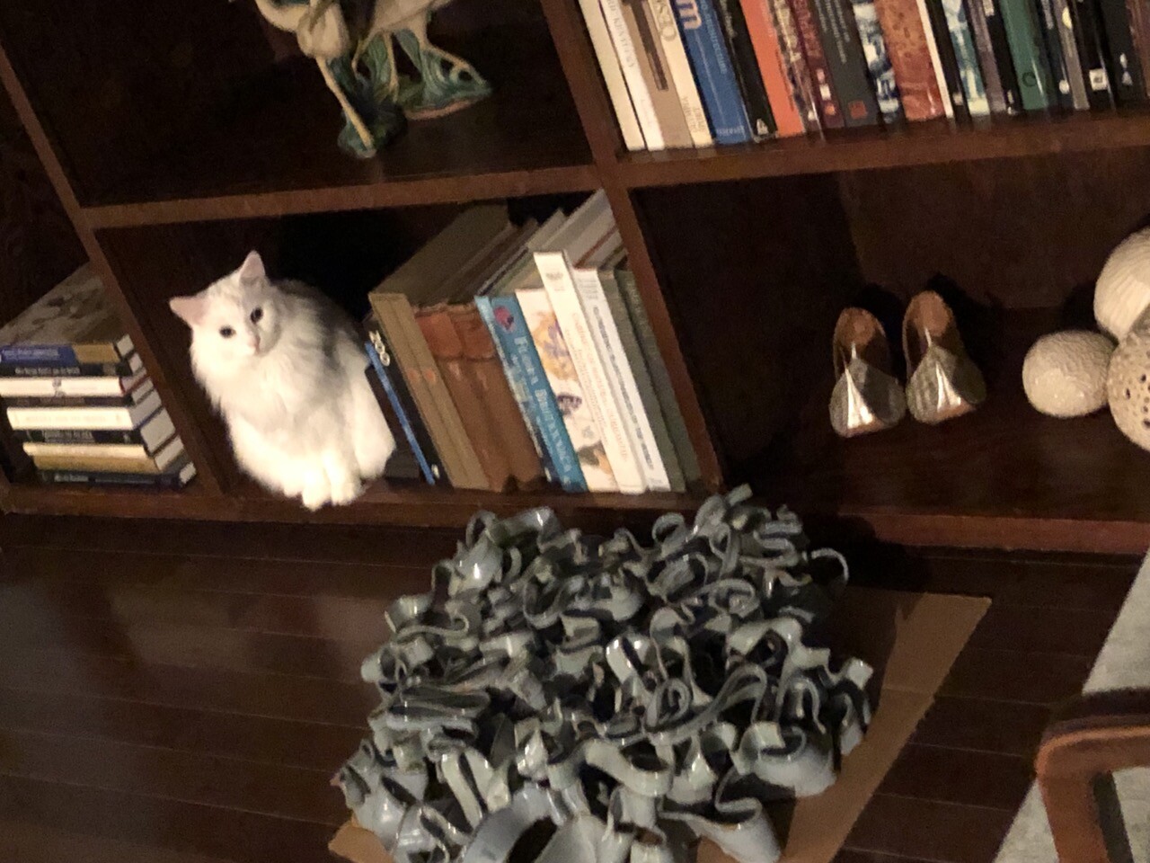 Rebecca L. Spang (@RebeccaSpang@cursoryreview.org) - Cursory Review