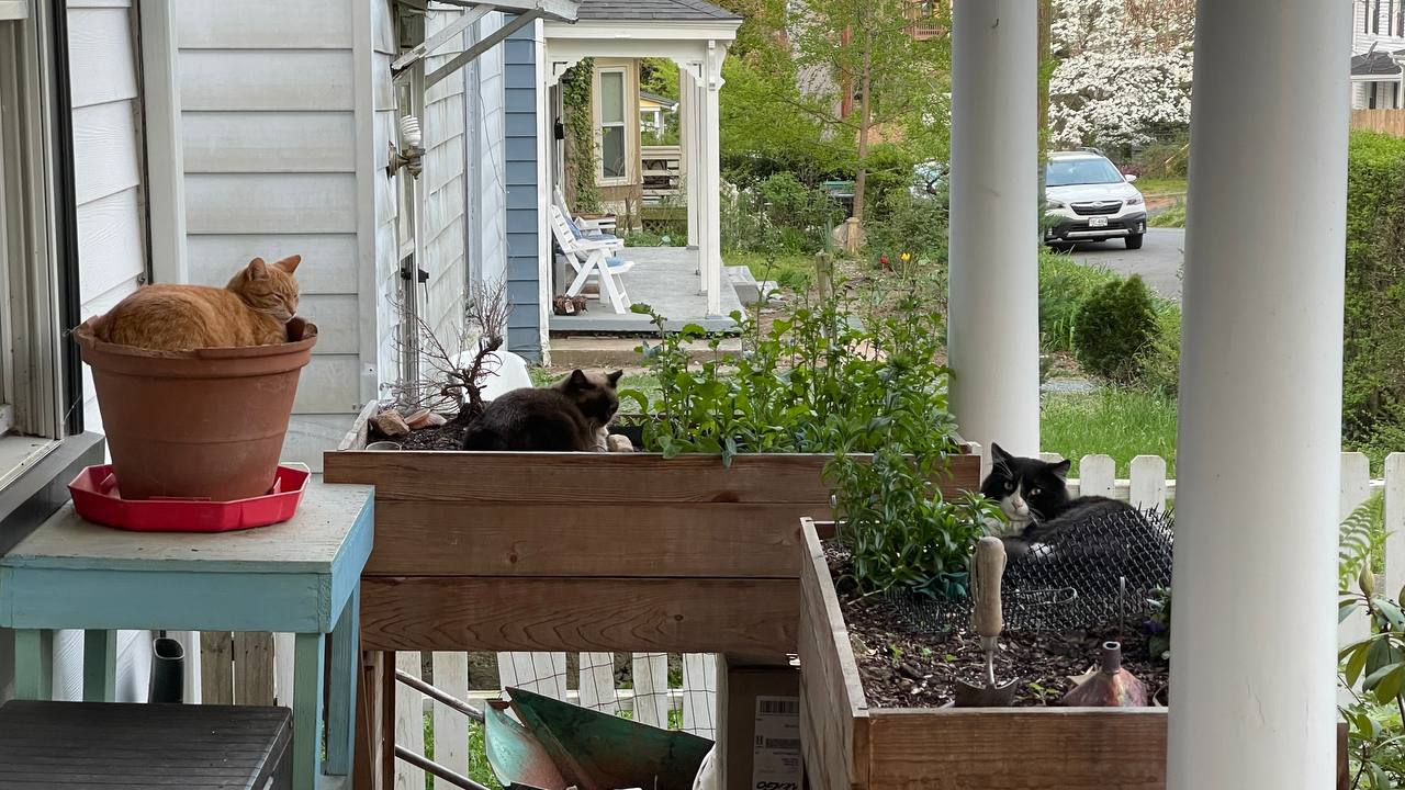 Lara Mahal (@glycocode@mstdn.social) - Mastodon 🐘