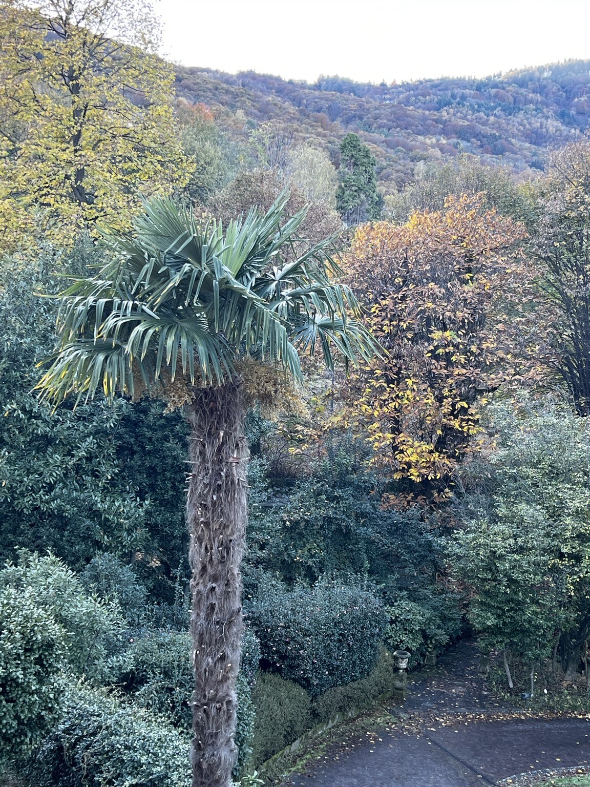 The Rook&The Raven :verified: (@therooktheraven@dice.camp) - Dice.camp