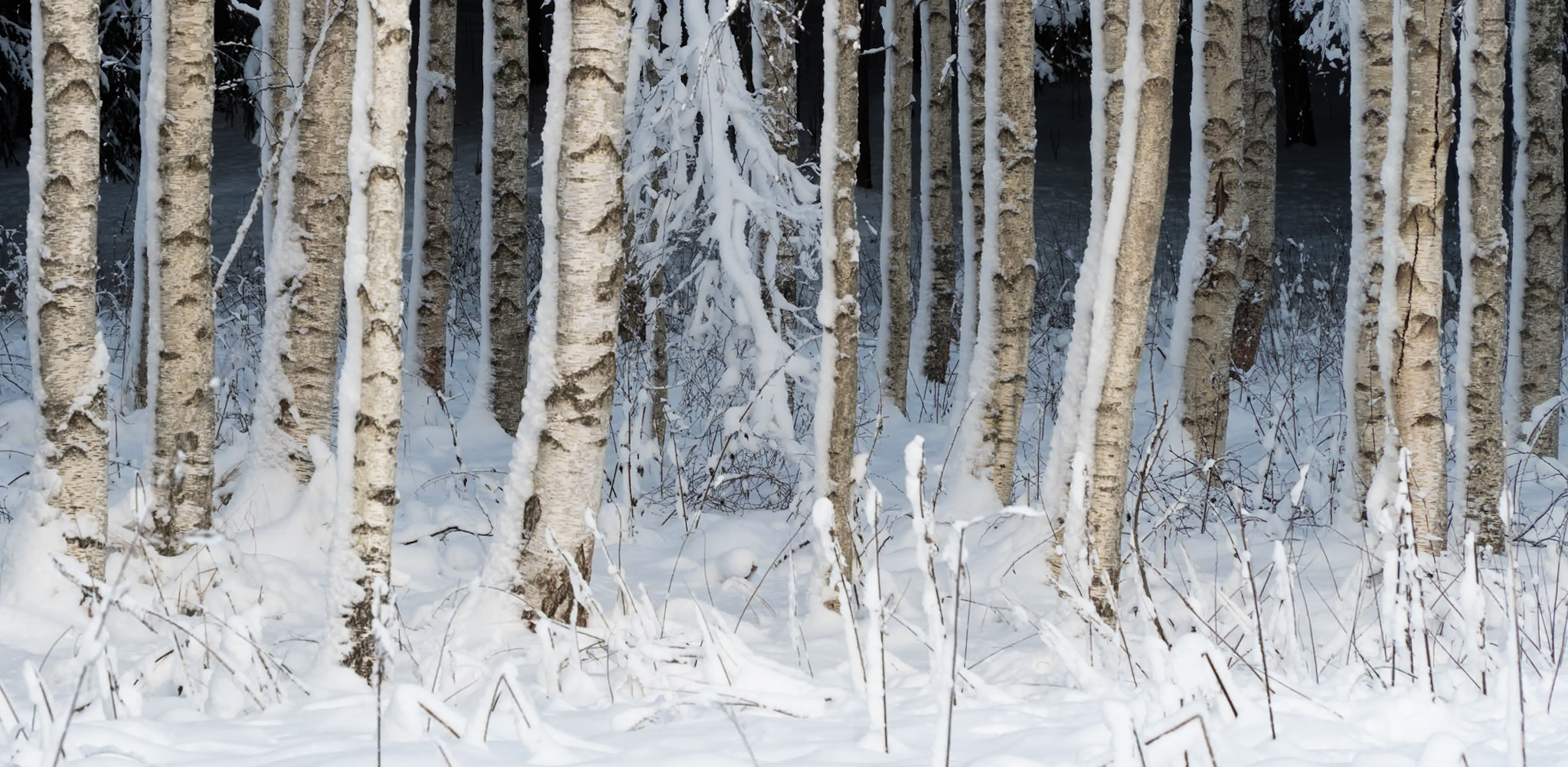 Lars J. Nilsson (@fungrim@kryptopraktik.se) - Kryptopraktik.se