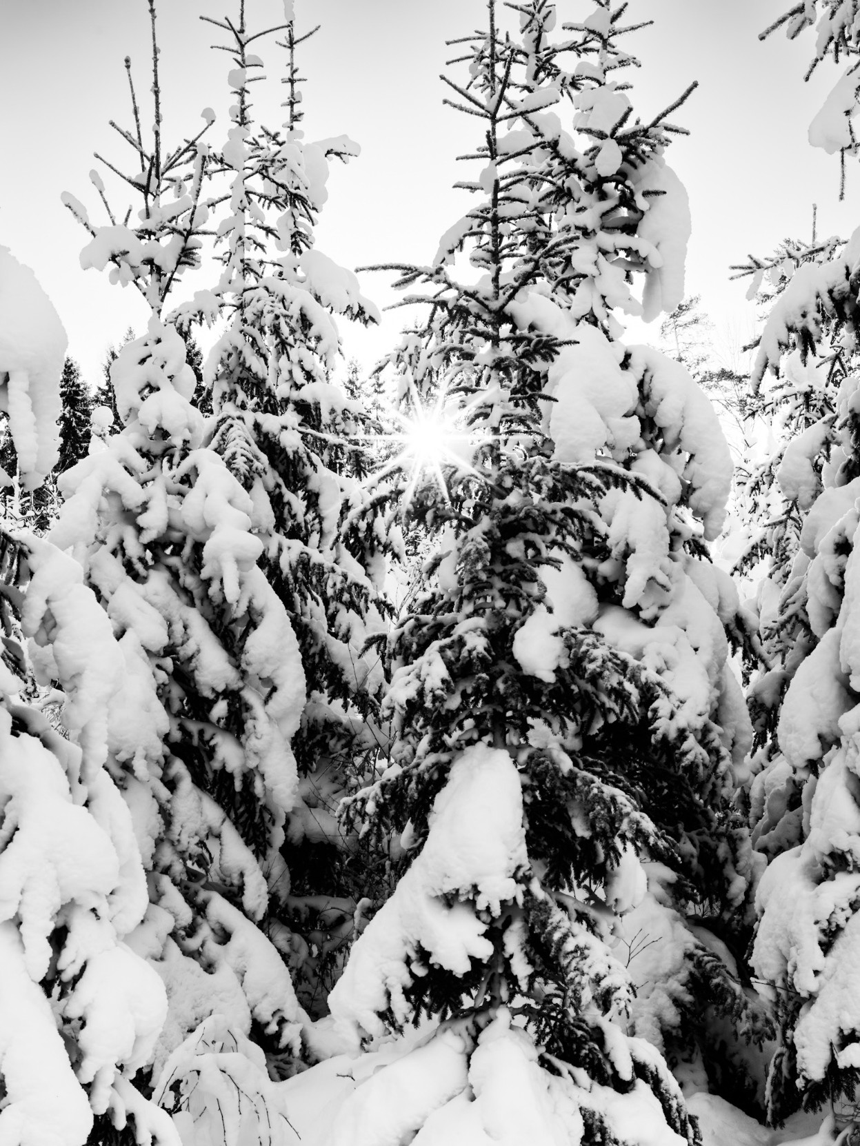 Lars J. Nilsson (@fungrim@kryptopraktik.se) - Kryptopraktik.se