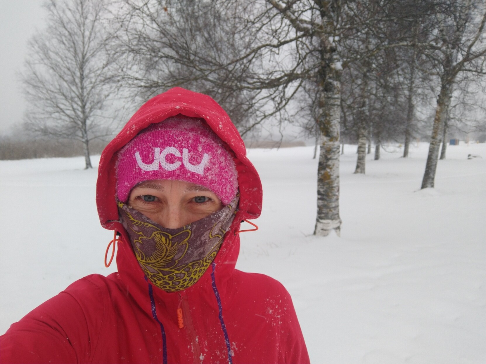 Dr Claire Hardaker (@drclaireh@mastodonapp.uk) - Mastodon App UK