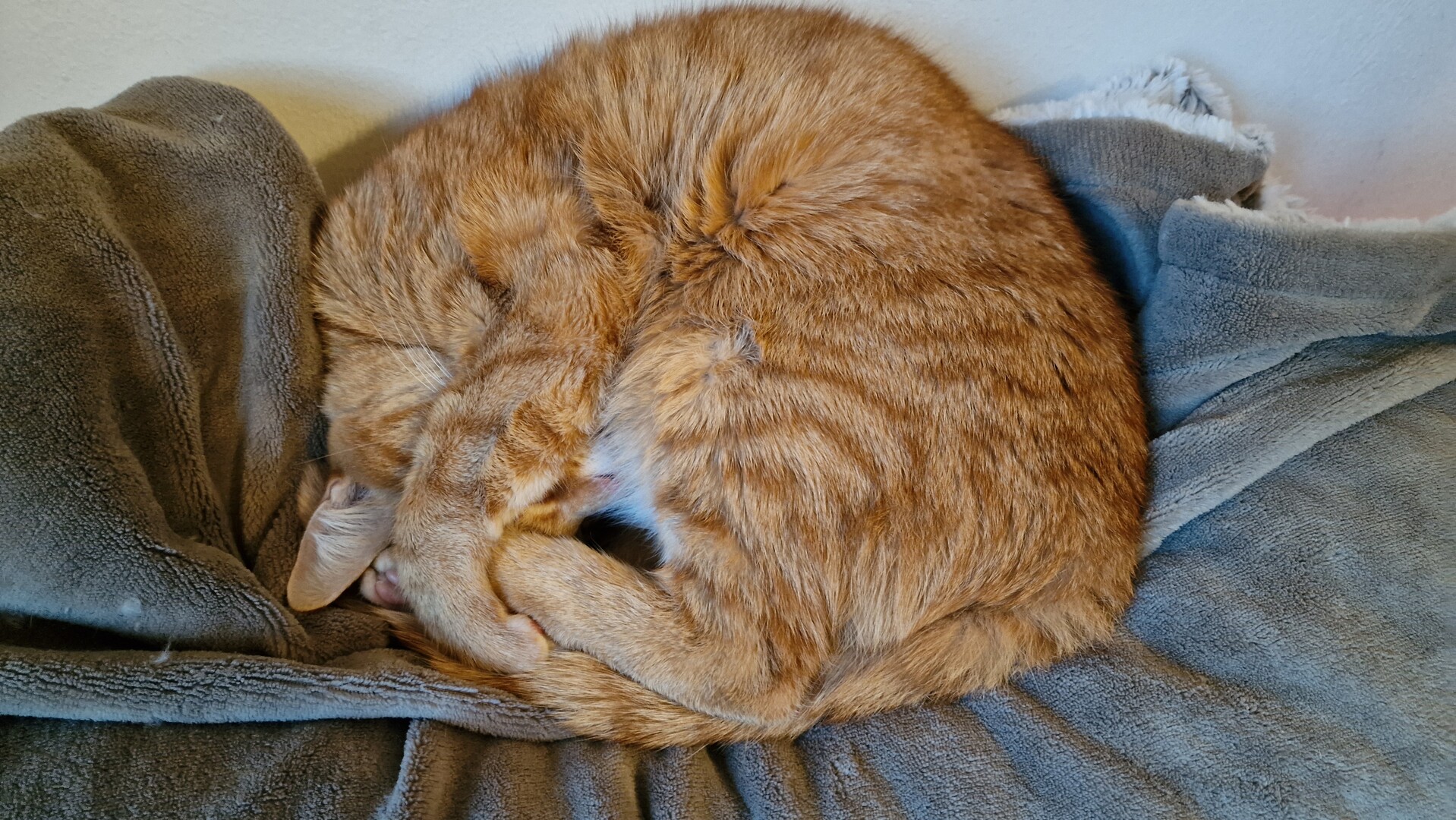 Nathan Adler (@nathan_dv_adler@livellosegreto.it) - Livello Segreto