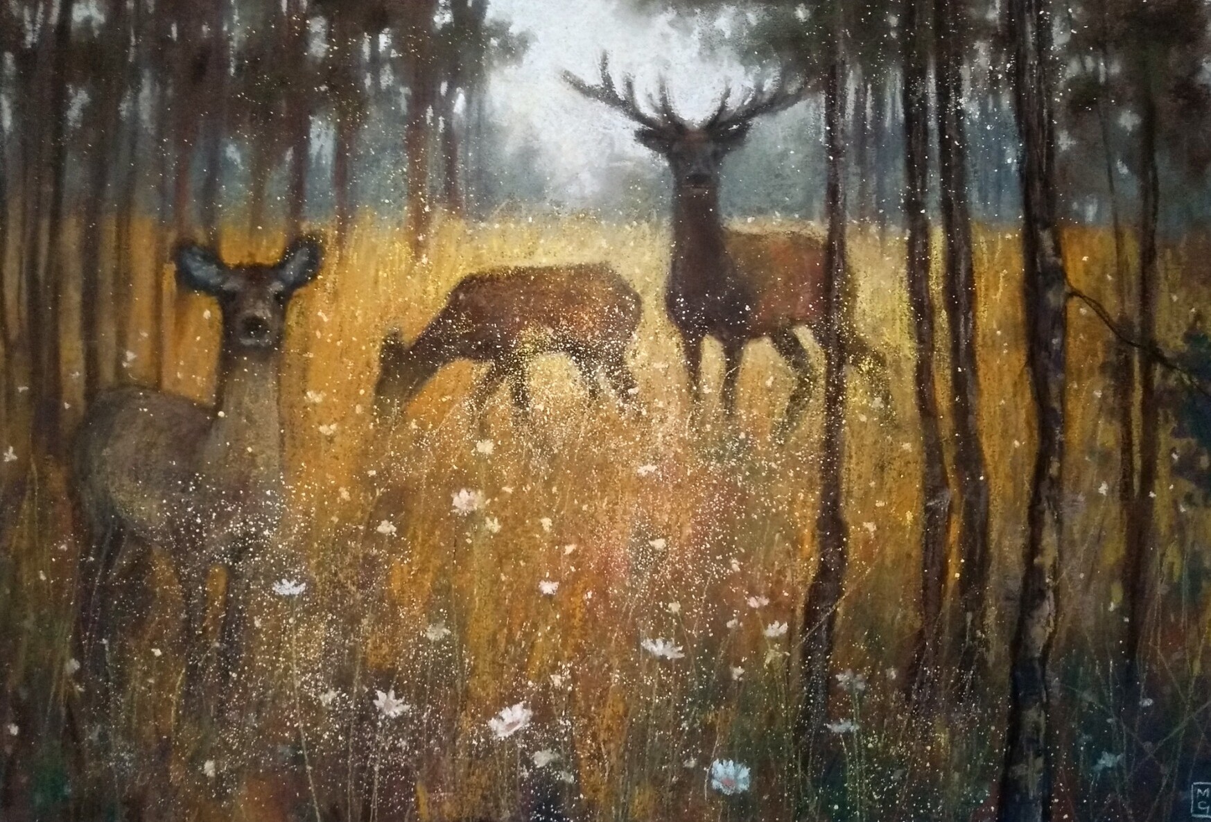 woodcarver (@woodcarver@mastodon.art) - Mastodon.ART