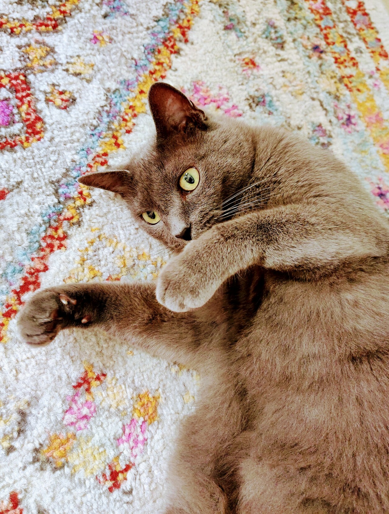 Sally Monster (@SallyMonster@mastodon.art) - Mastodon.ART