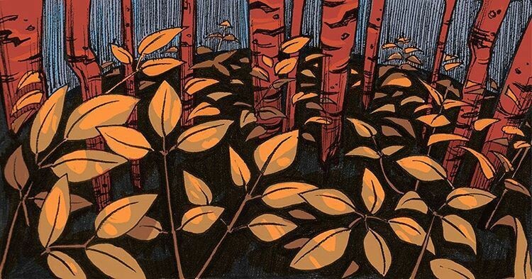 🌱🚧🌿 (@snake@mastodon.art) - Mastodon.ART