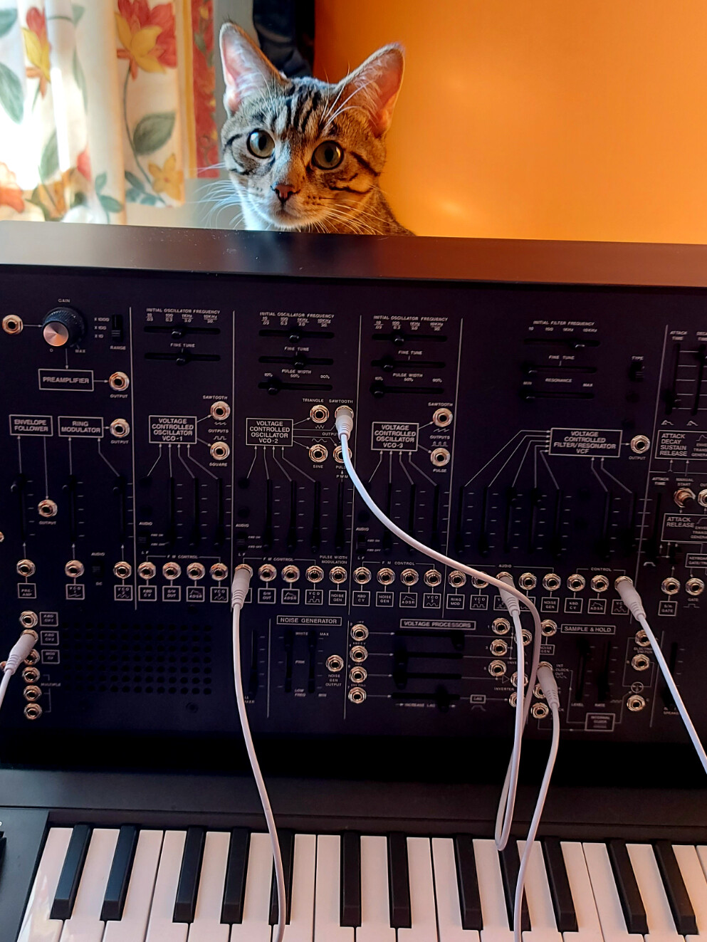 Tim Lowrey (@timlowrey@mastodon.social) - Mastodon