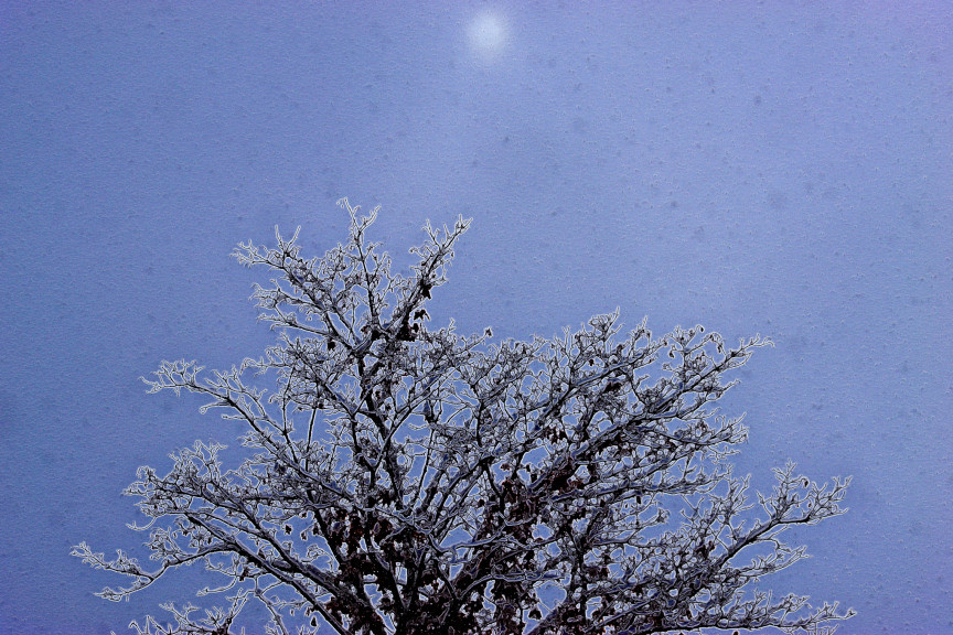 LauraKerrArt (@LauraKerrArt@vis.social) - vis.social