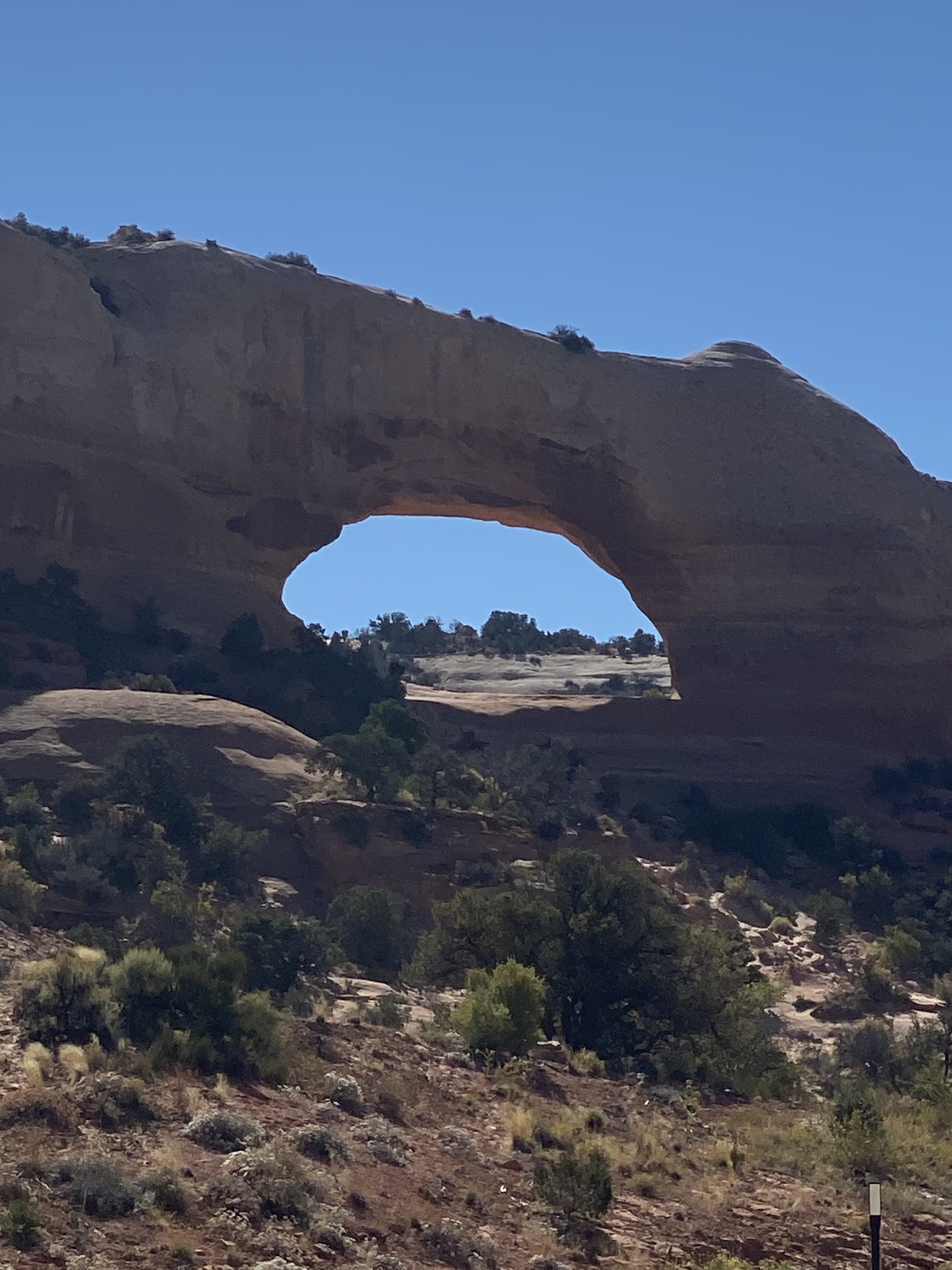 Paul Marrow 🇪🇺 (@evopma@ecoevo.social) - ecoevo.social