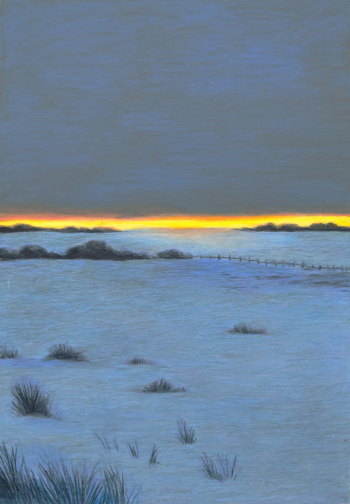 Dr Emma Rehn (@bluerehn@mastodon.social) - Mastodon