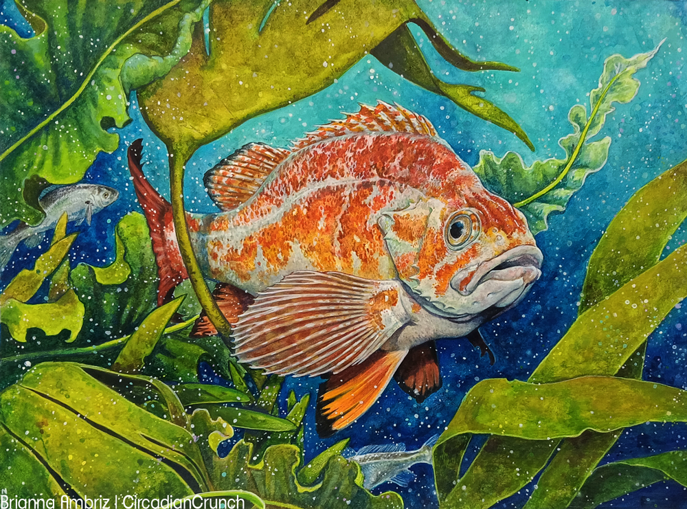 Bri (@CircadianCrunch@mastodon.art) - Mastodon.ART