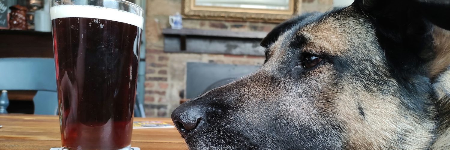 Paul Edwin (@paul_edwin@mastodon.beer) - Mastodon.Beer