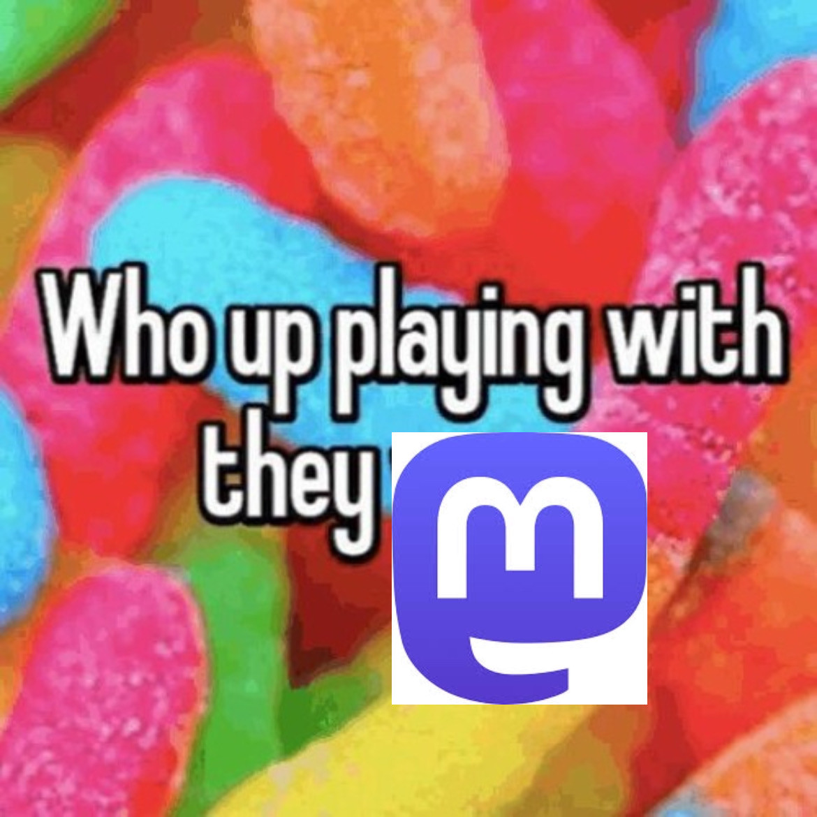 ellie (@milk@quokka.city) - Quokka City