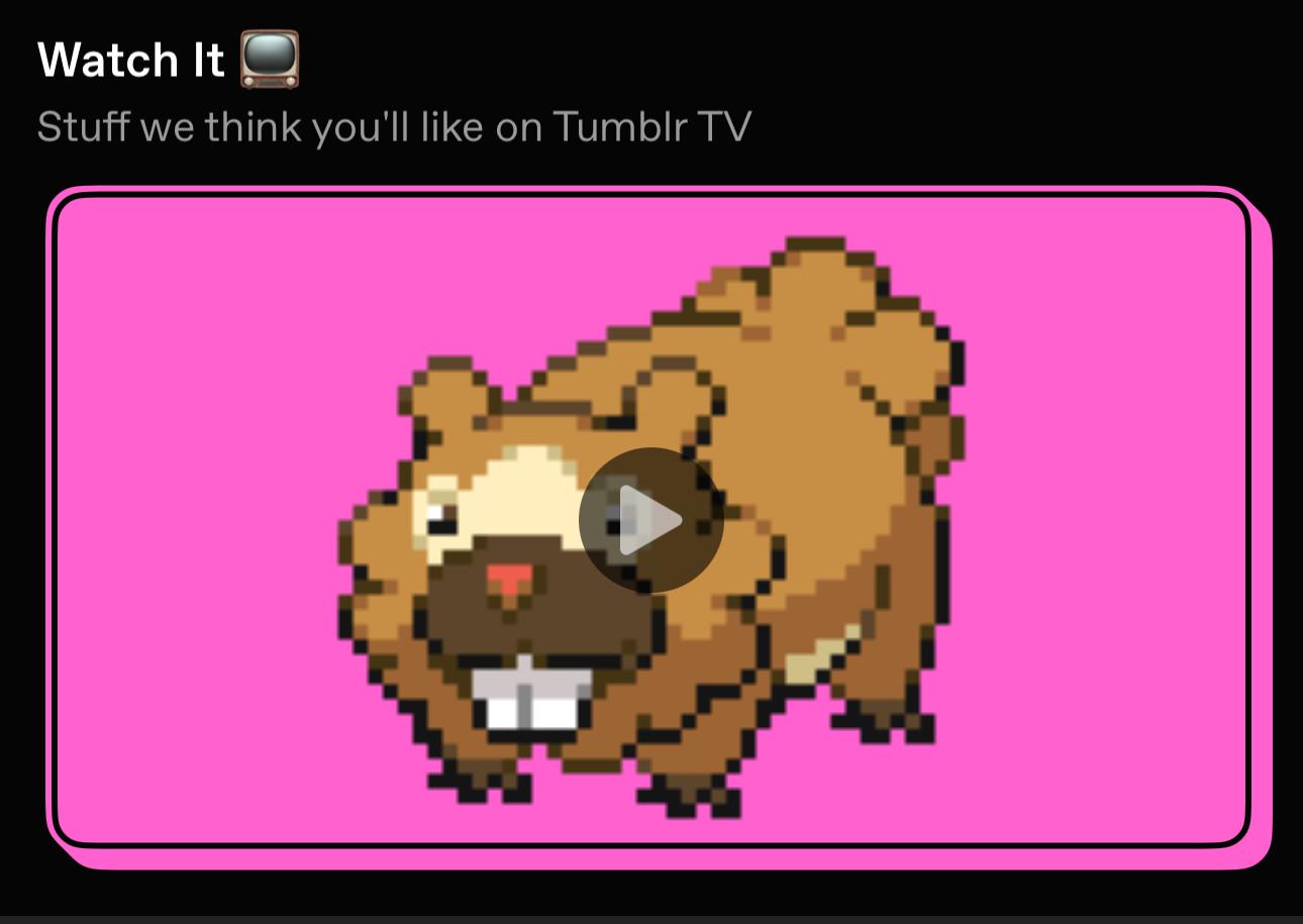 日常 :aseal:: "i do like that" - Quokka City