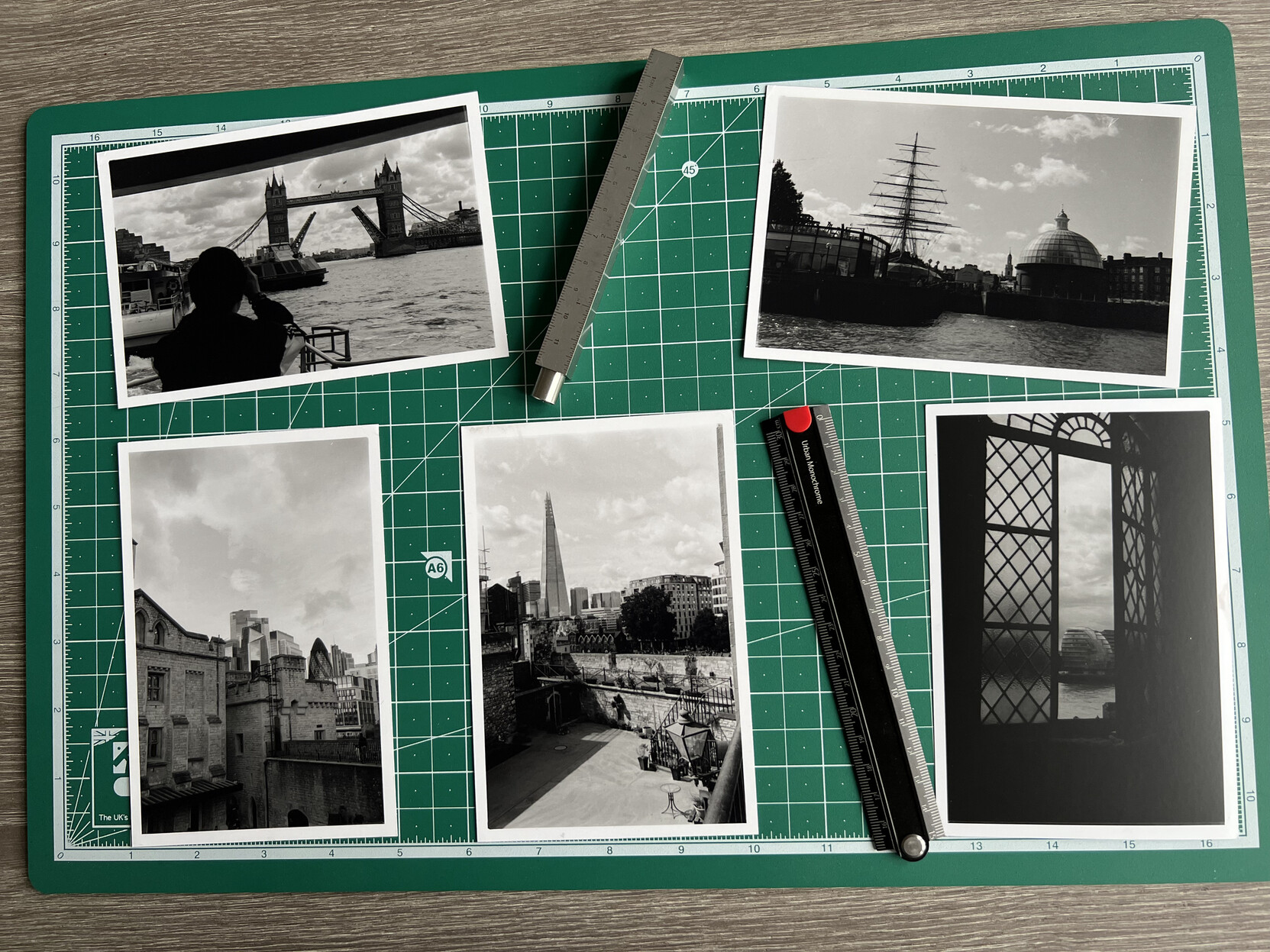 Bastian Grossenbacher-Rieck (@Pseudomanifold@mathstodon.xyz) - Mathstodon