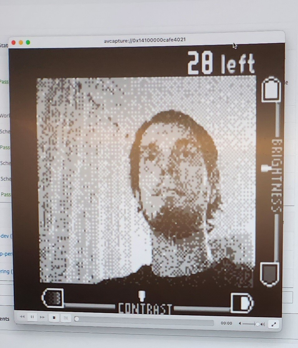 Game Boy Camera (@gameboycamera@glitch.lgbt) - Glitch.lgbt