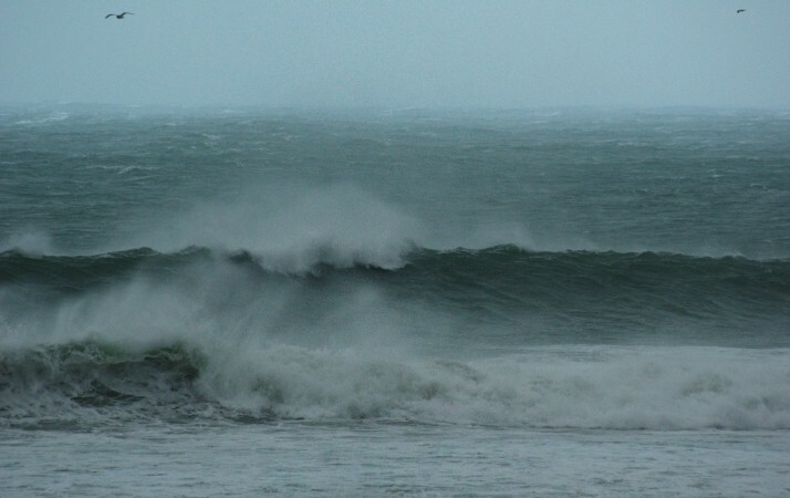 Dr Caitlin Green (@caitlinrgreen@mstdn.social) - Mastodon 🐘