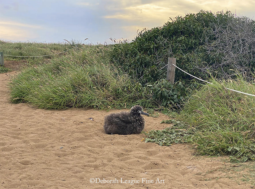 Jett (@pixel_palette@mastodon.social) - Mastodon