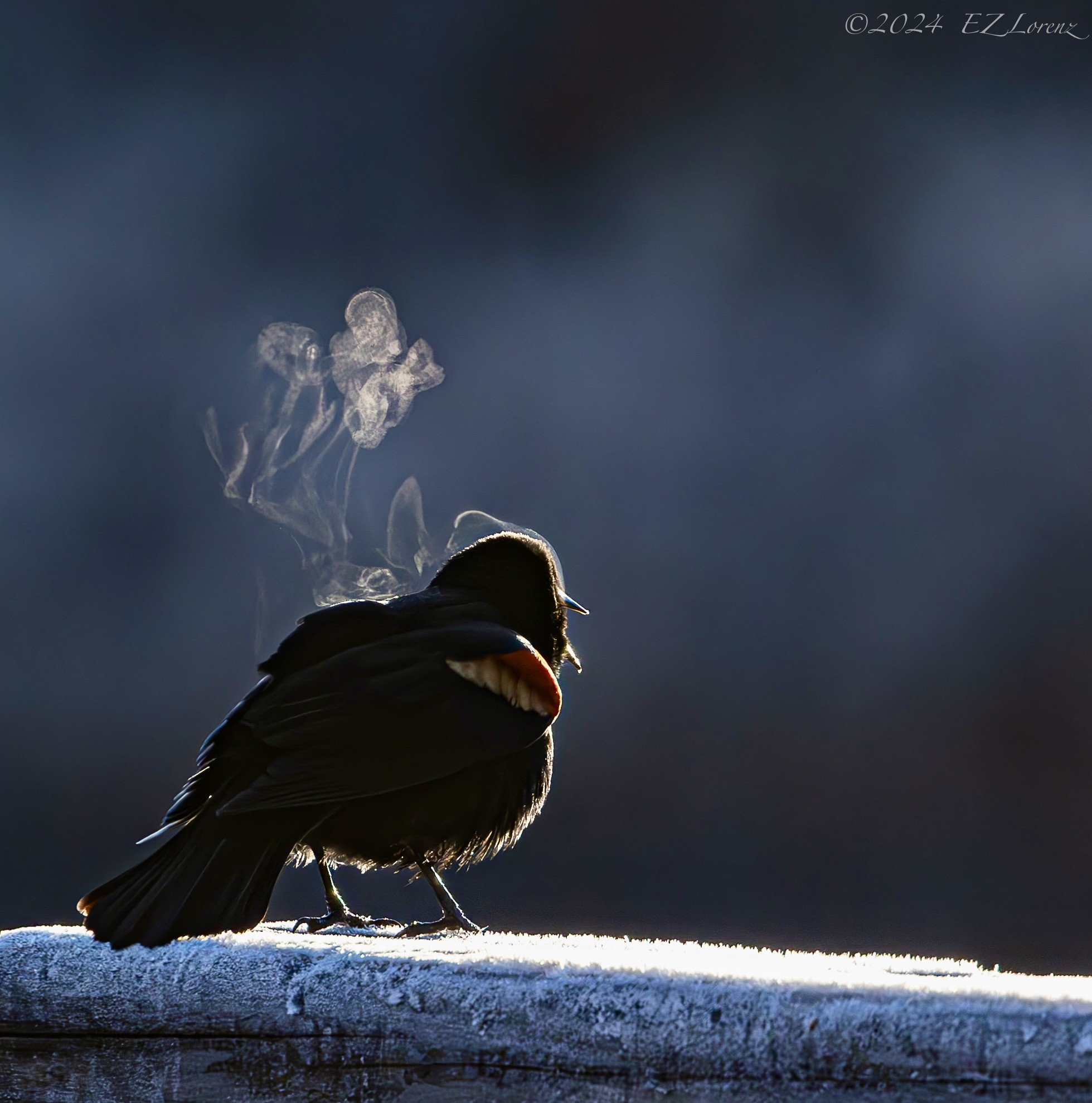 Jamiepullman (@Jamiepullman@mastodon.green) - Mastodon.green