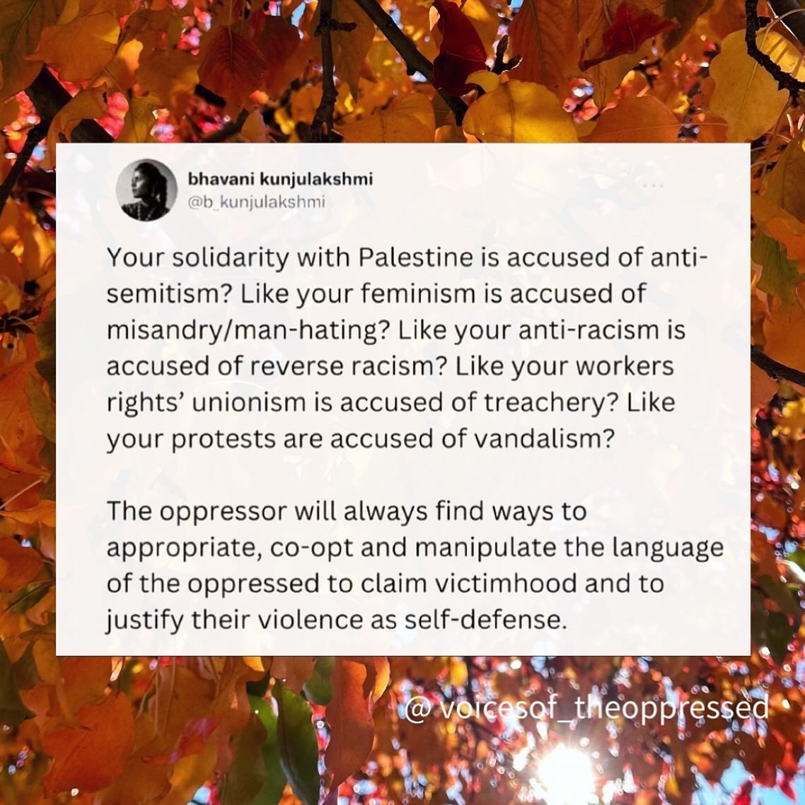 Marcus Rossi 🖖 (@marcusrossi@mastodon.social) - Mastodon