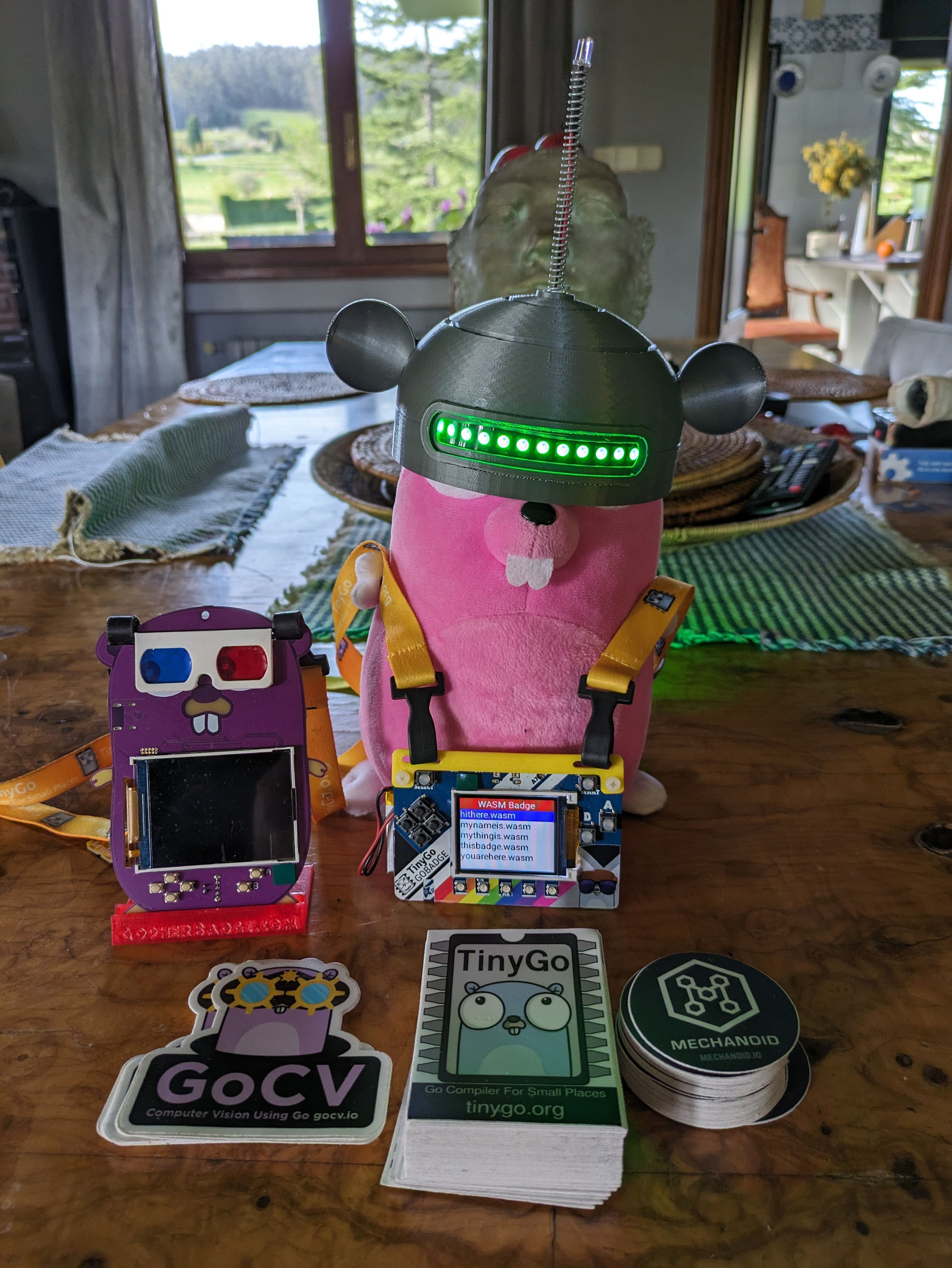 TinyGo (@TinyGo@mastodon.social) - Mastodon