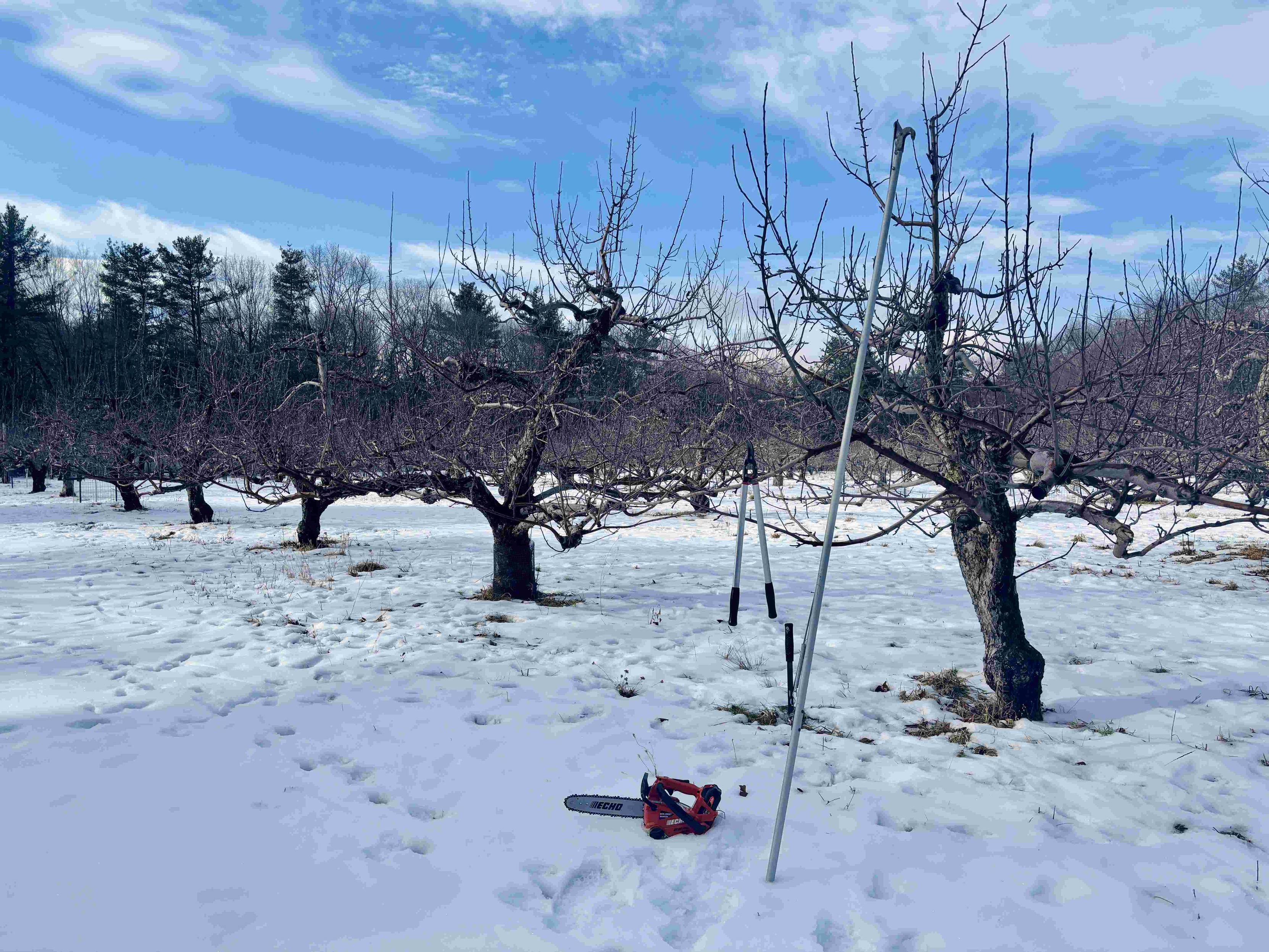 Hi from semi-rural MA, my first #introduction to the fediverse ...