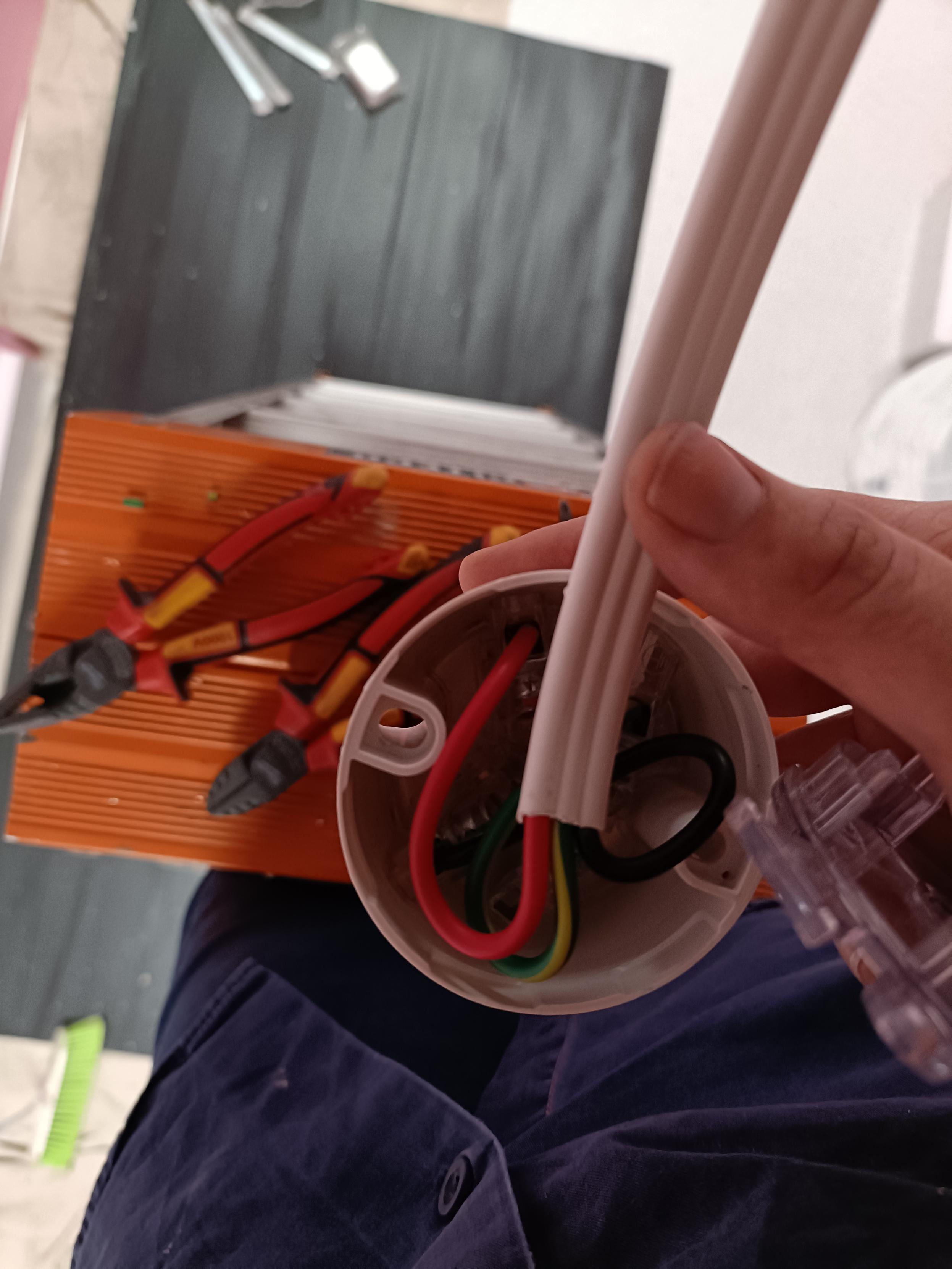 #introduction | NodeBB Community