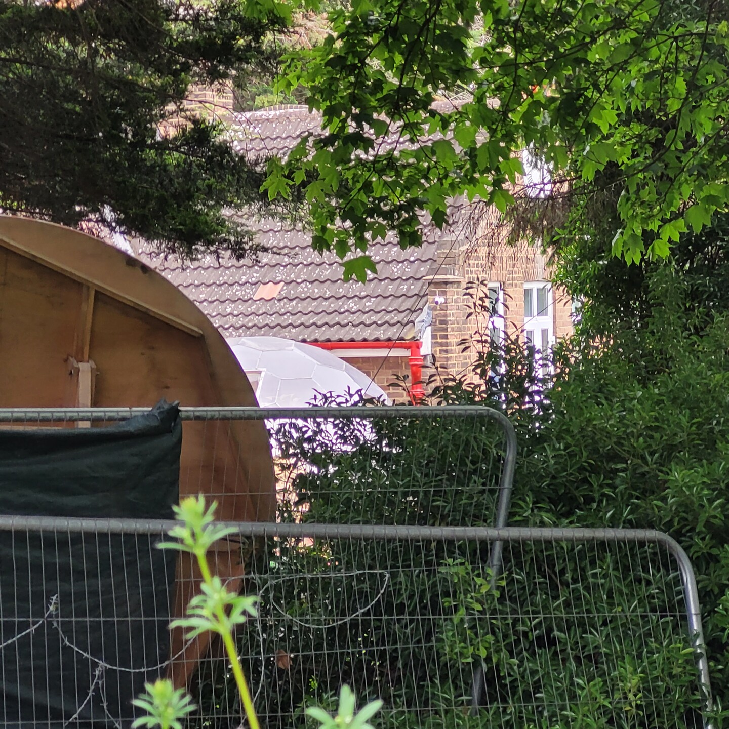 Viper (@TheGreenViper8@thevipvipers.space) - The VIP Vipers