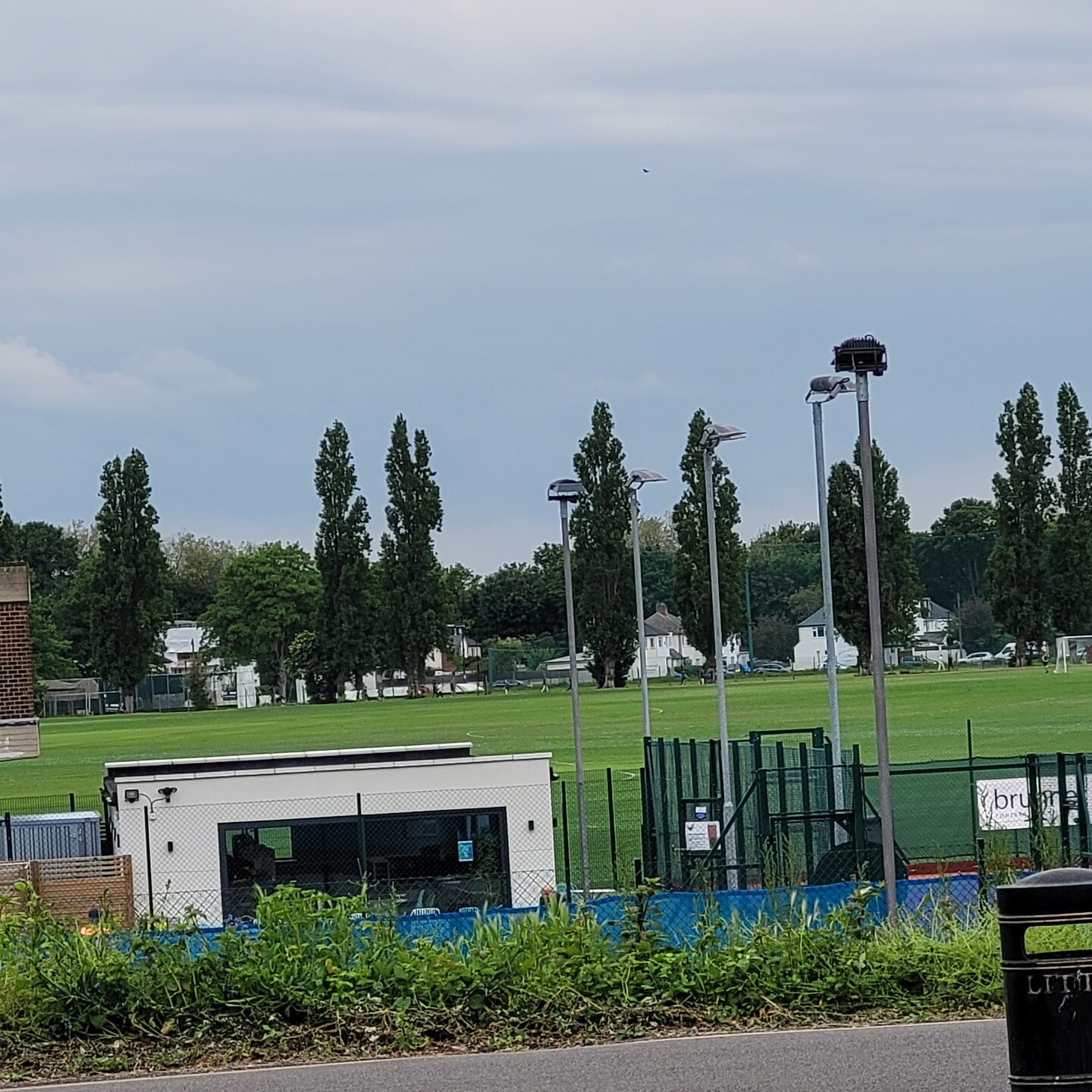 Viper (@TheGreenViper8@thevipvipers.space) - The VIP Vipers