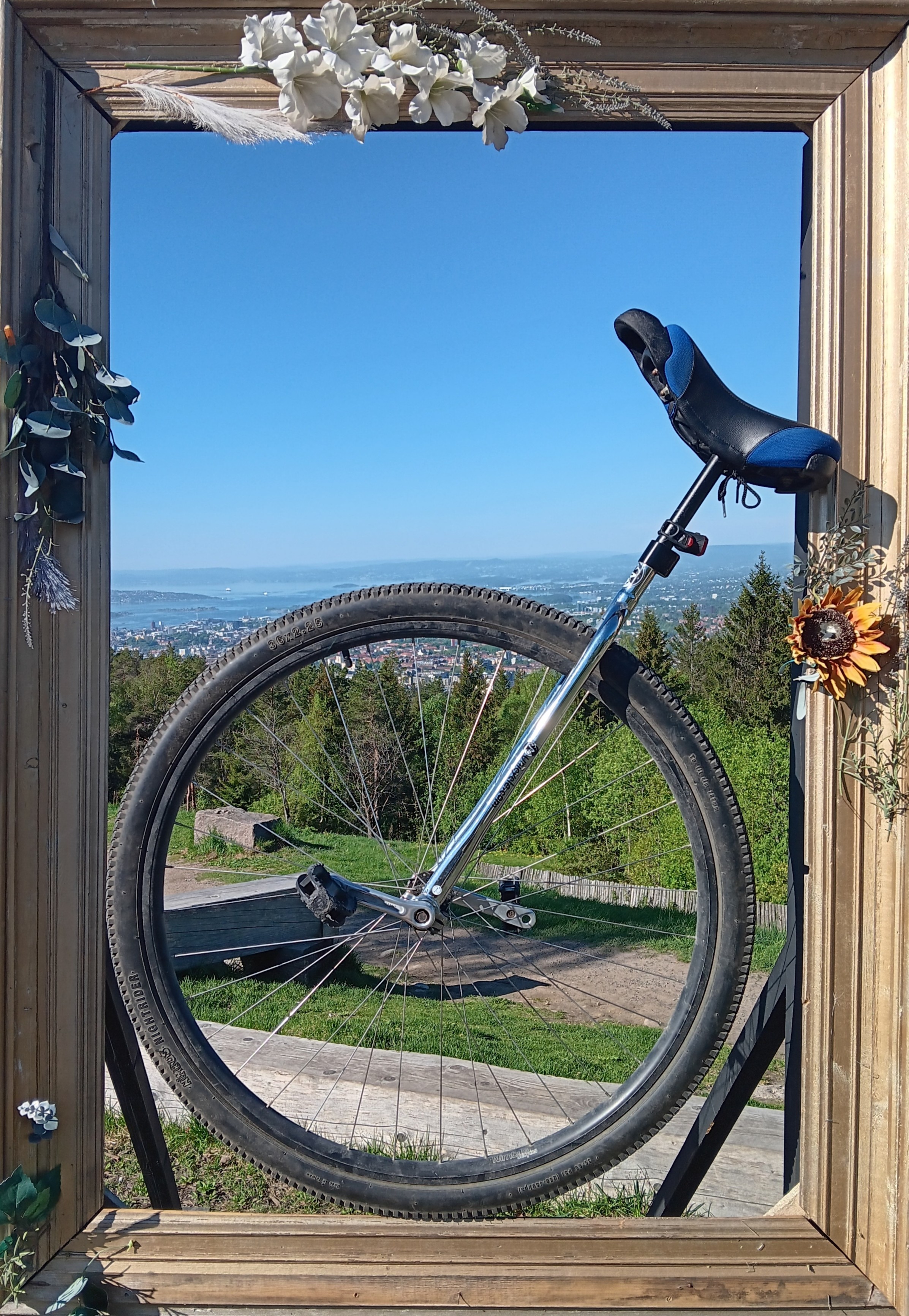 Four images, four different unicycle setups, four different skies ...