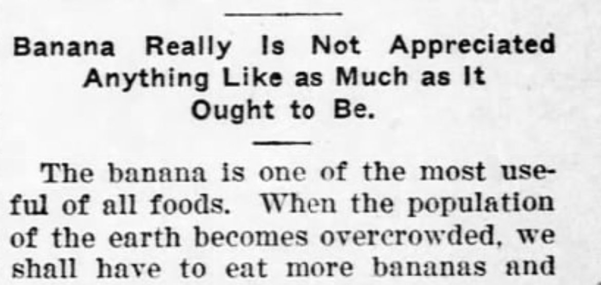 annie rauwerda (@annierau@wikis.world) - Wikis World