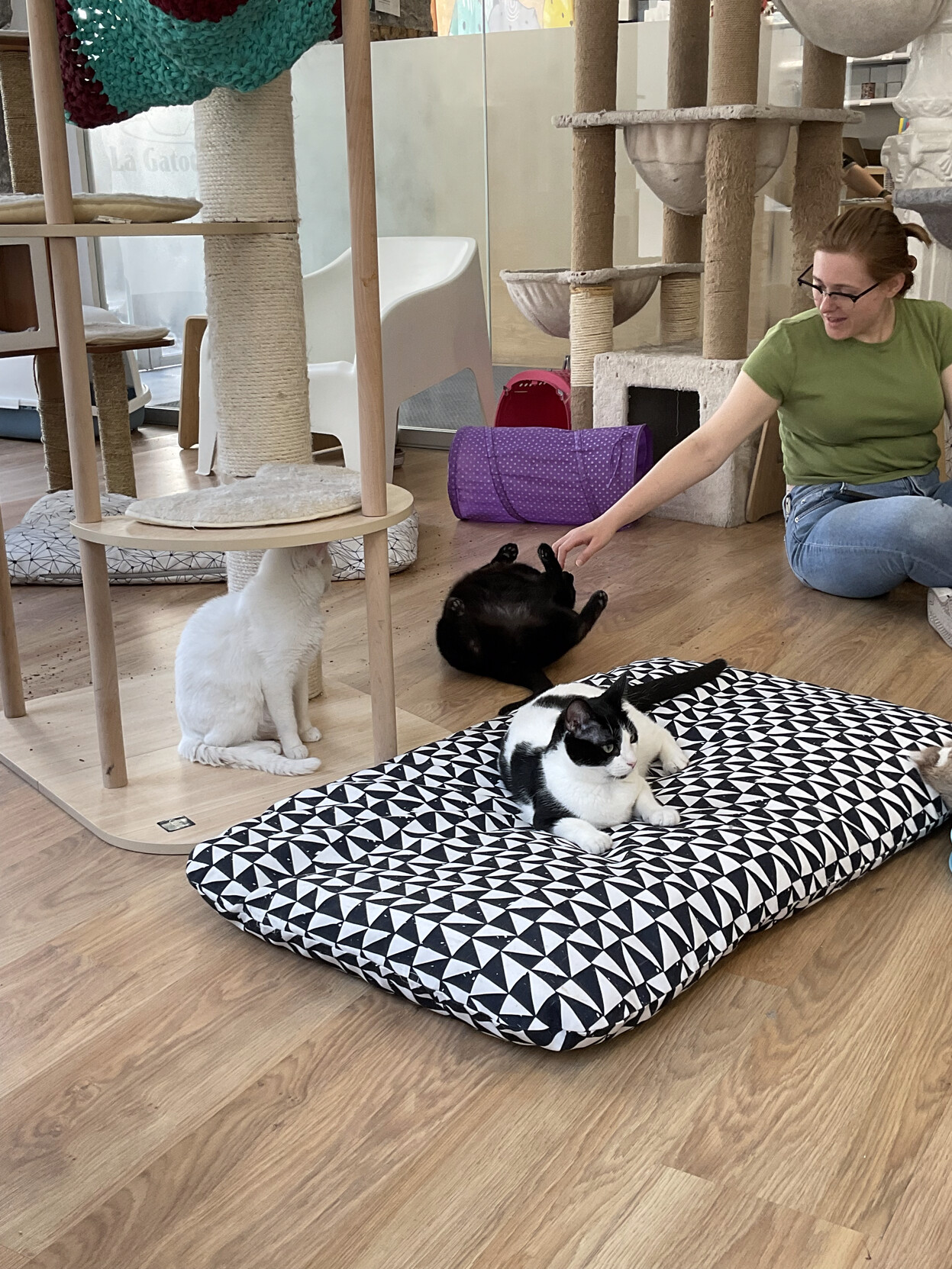 Rabi'a Elizabeth (@rabia_elizabeth@writing.exchange) - Writing Exchange