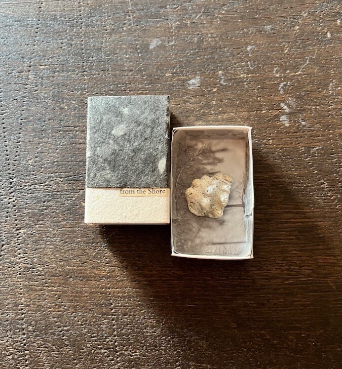 maya (@maya@fedibird.com) - Fedibird